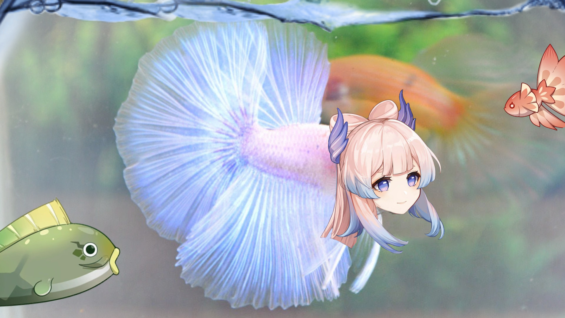 Kokomi in her natural habitat ♡ Genshin Impact | HoYoLAB