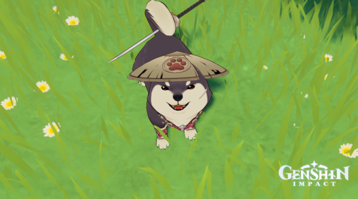 samurai doggo Genshin Impact | HoYoLAB