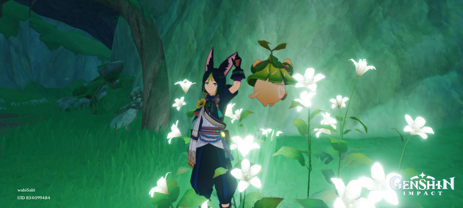 Aranara~ | Genshin Impact | HoYoLAB