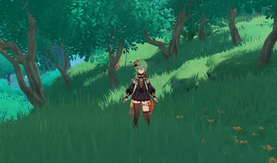 [Version 3.0] Sumeru Wood Guide Genshin Impact | HoYoLAB