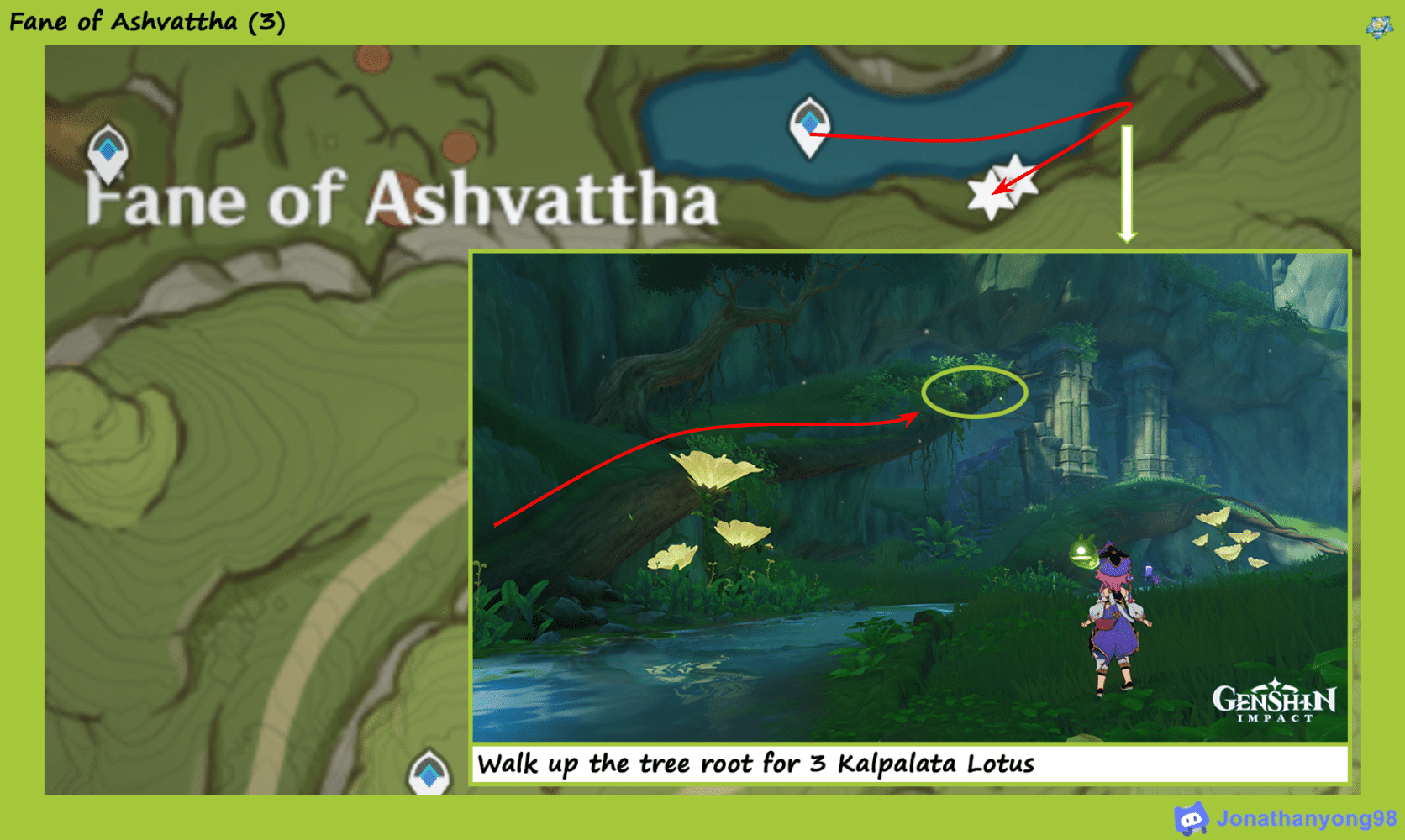 Kalpalata Lotus Farming Guide Genshin Impact | HoYoLAB