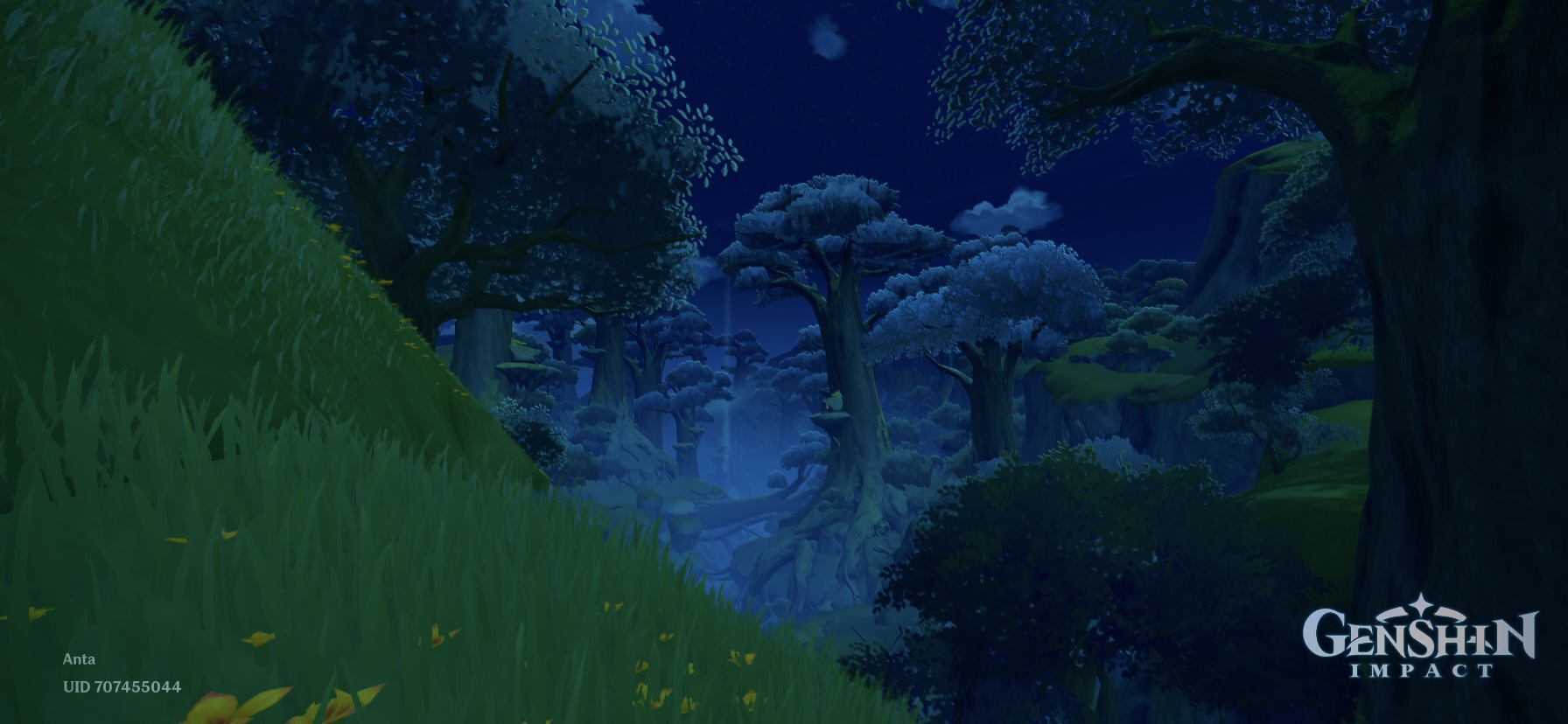 Sumeru at night Genshin Impact | HoYoLAB