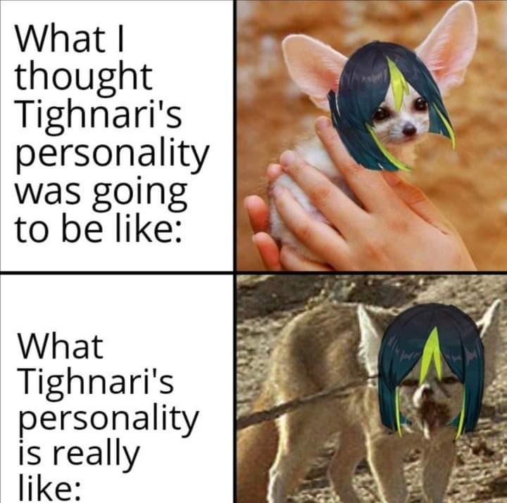 the accuraccy Genshin Impact | HoYoLAB