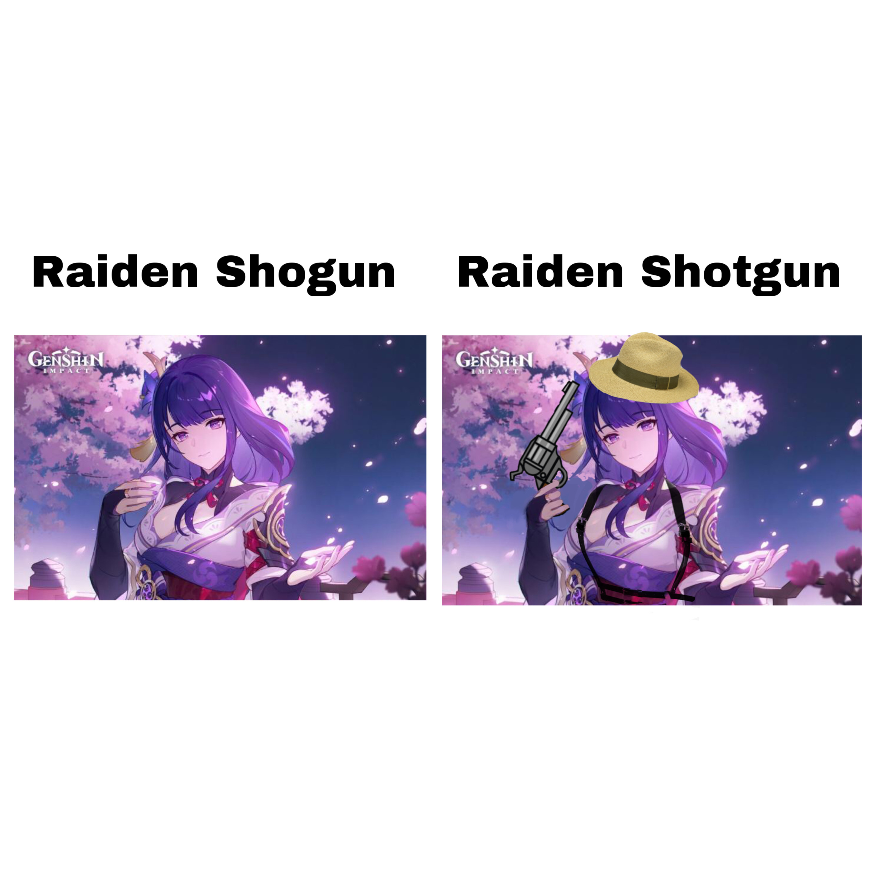 Raiden shotgun Genshin Impact | HoYoLAB