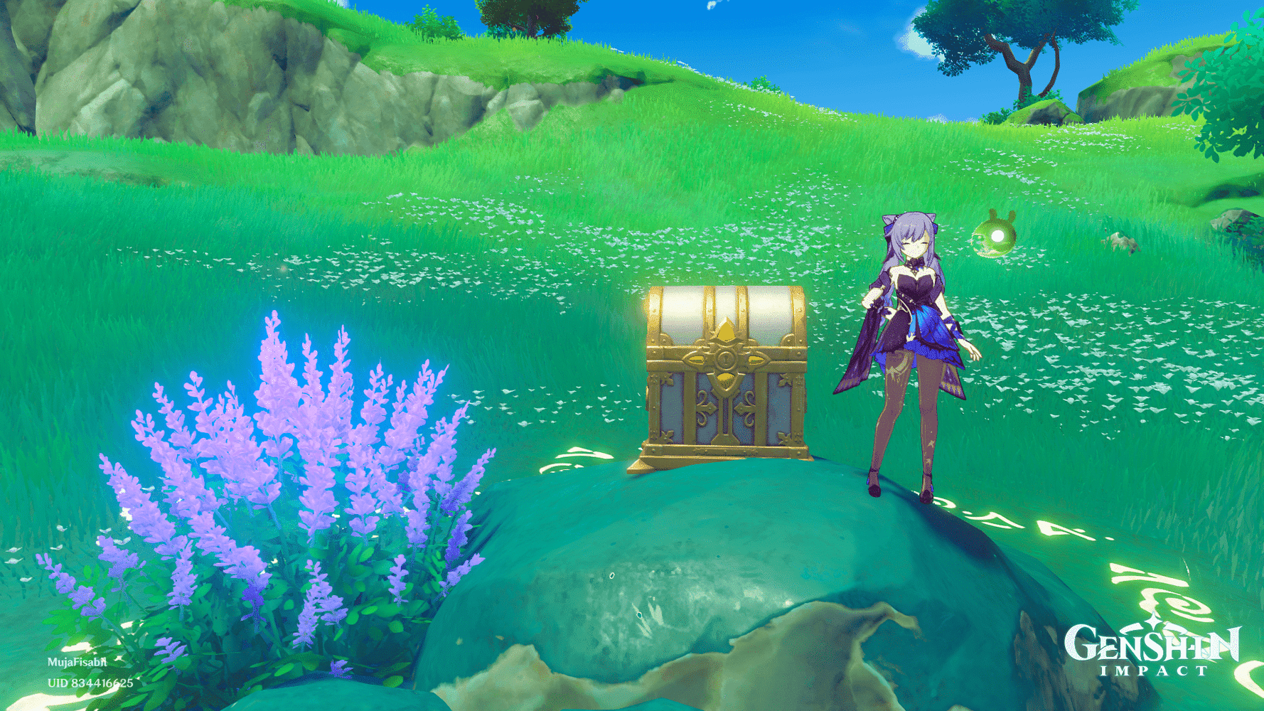[SUMERU - HIDDEN LUXURIOUS CHEST] Cari Lokasi dari Teka-Teki ...
