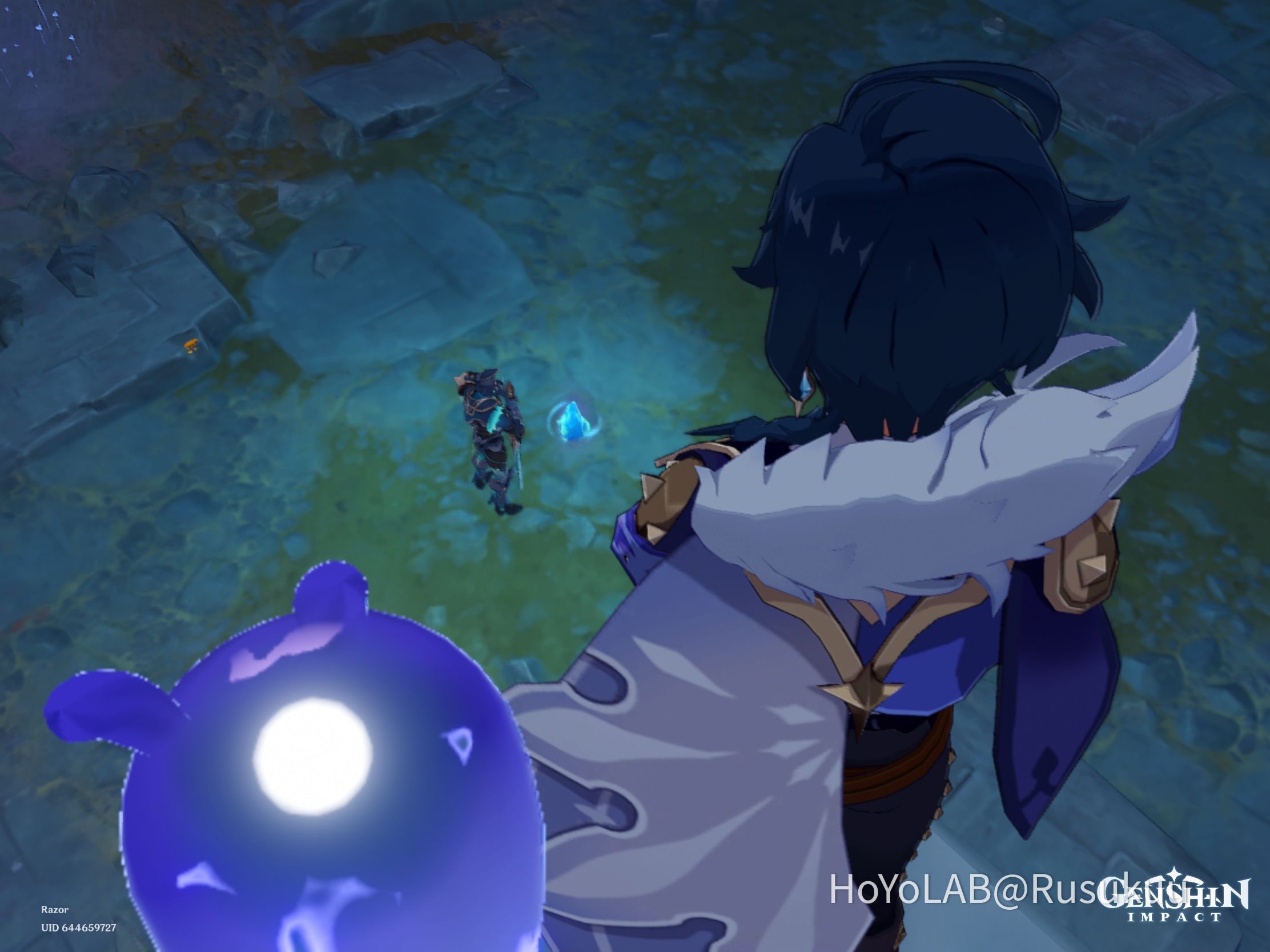 Is that Halfdan?! Genshin Impact | HoYoLAB