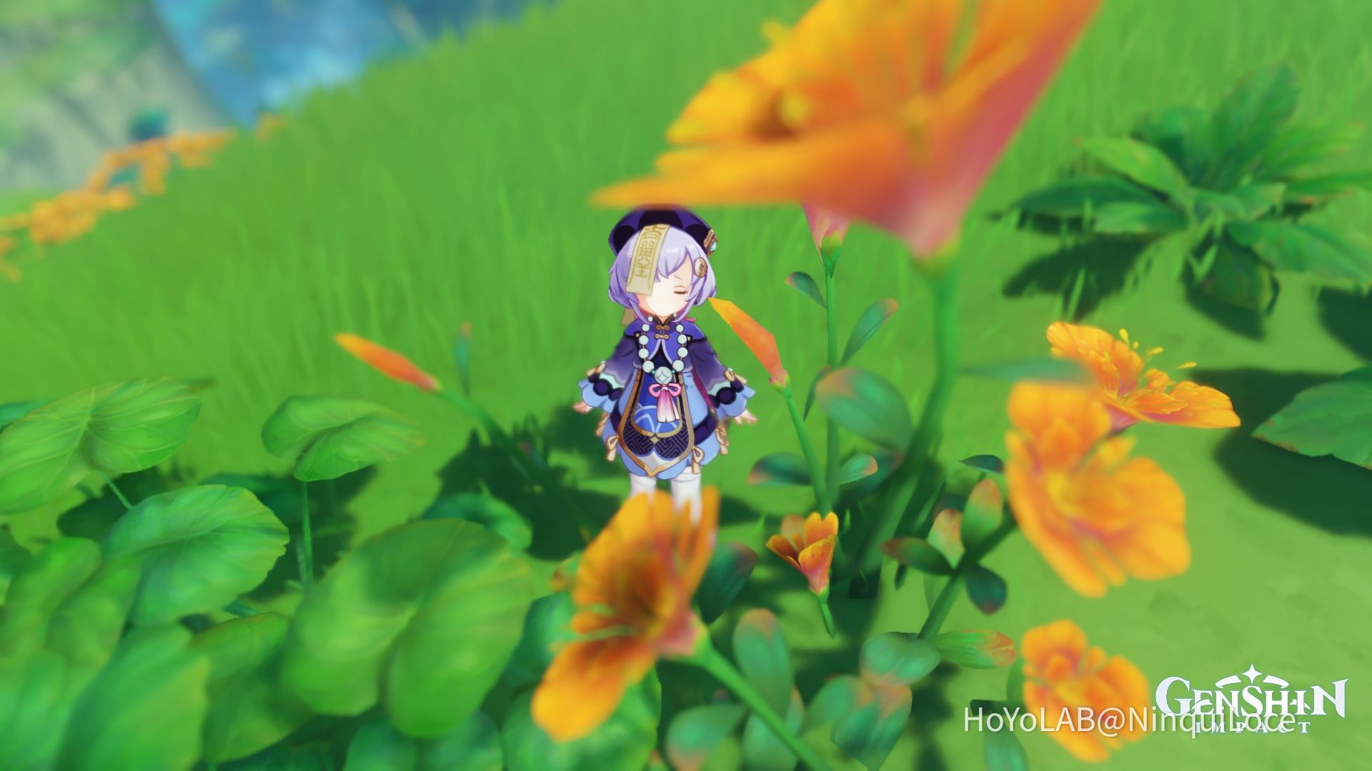 Qiqi the Late Bloomer Genshin Impact | HoYoLAB