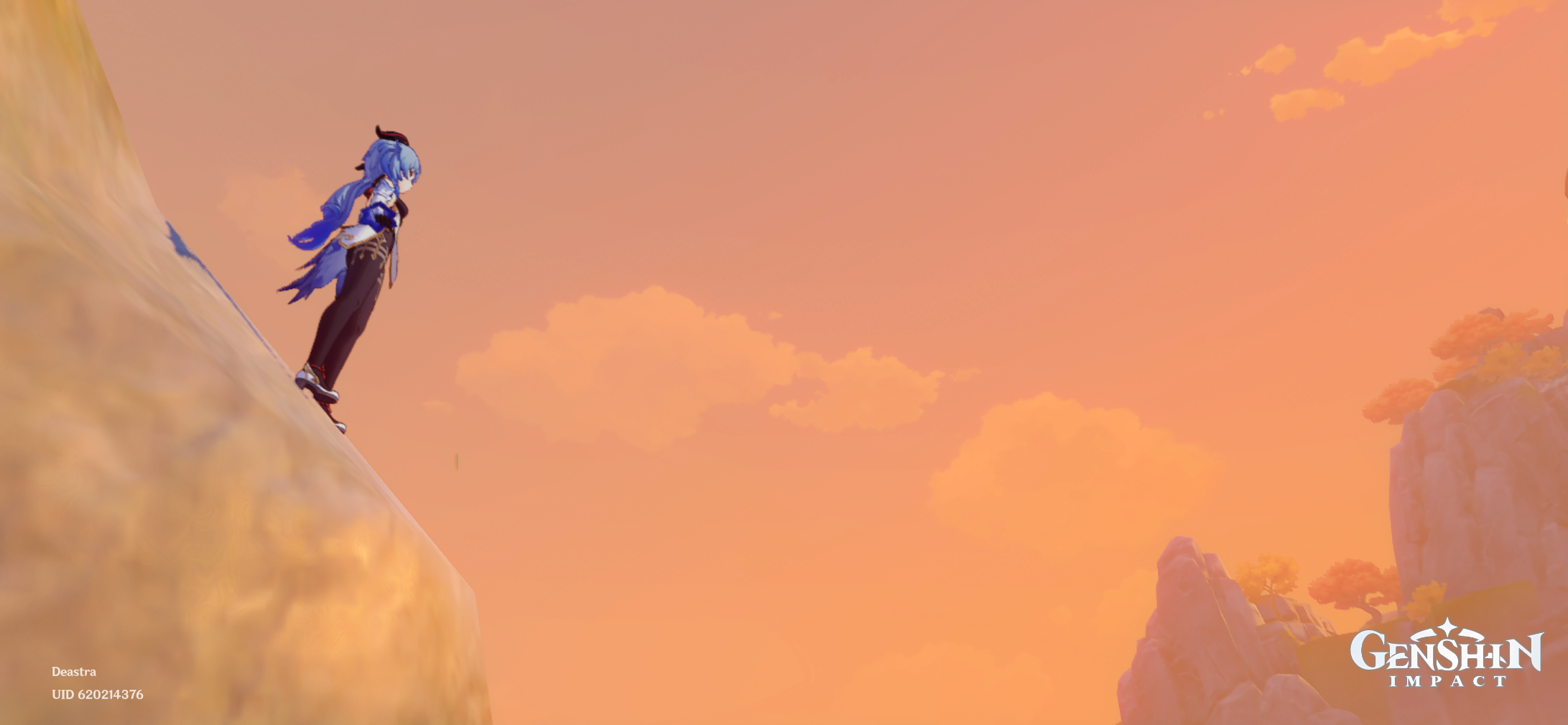 For the Banner! Genshin Impact | HoYoLAB