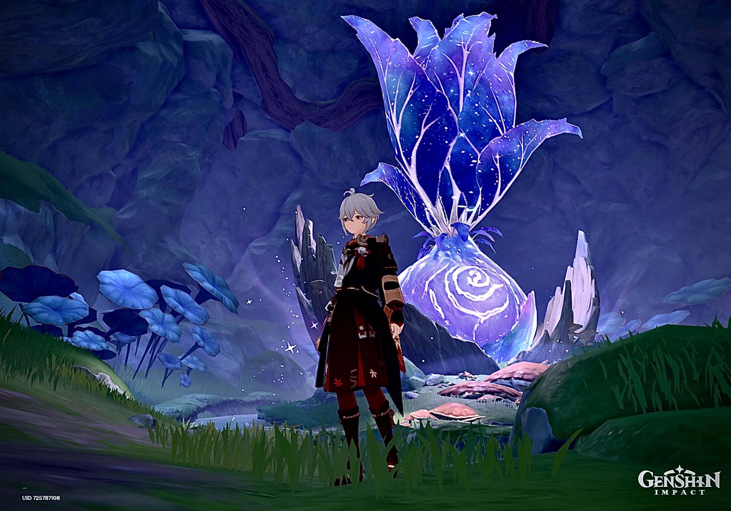 Tree of dreams of varanara Genshin Impact | HoYoLAB