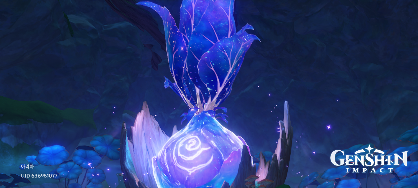 Sumeru Genshin Impact | HoYoLAB
