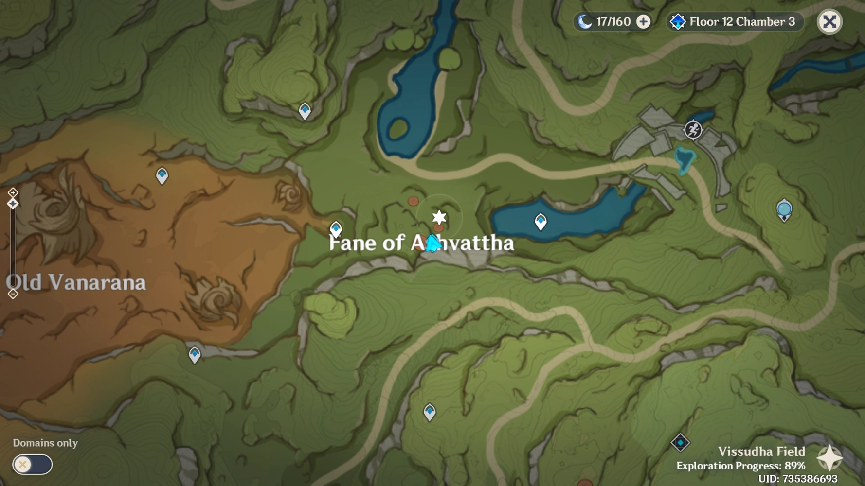 Out of bounds in Fane of Ashvattha Genshin Impact | HoYoLAB