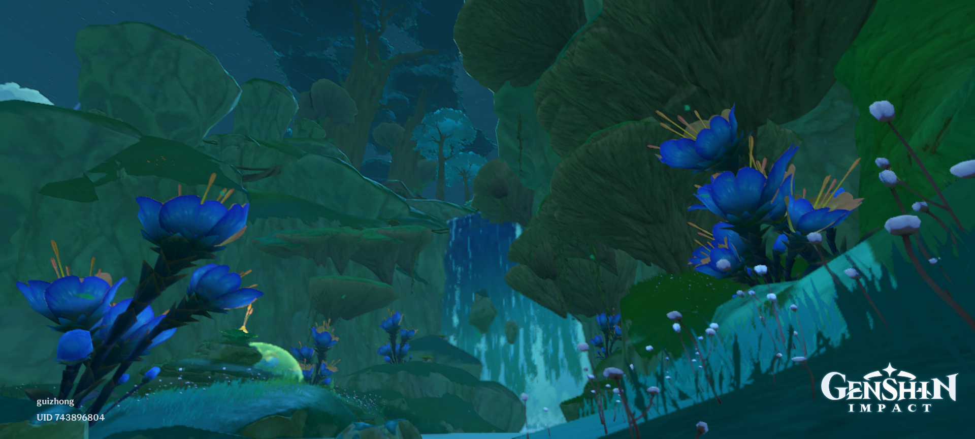 hydro + dendro = bloom | Genshin Impact | HoYoLAB