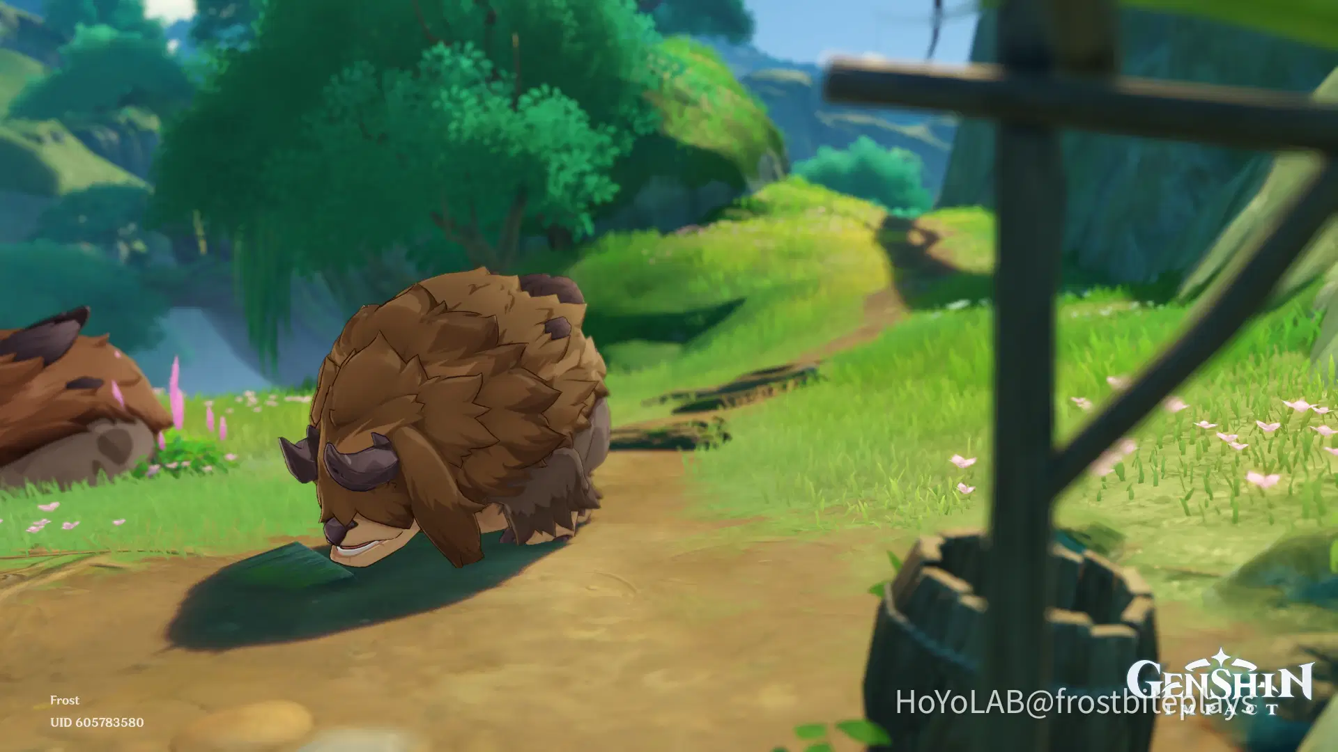 Shaggy Sumpter Beasts Genshin Impact | HoYoLAB