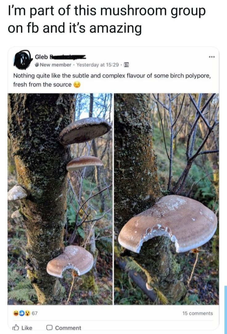 A meme wao Genshin Impact | HoYoLAB