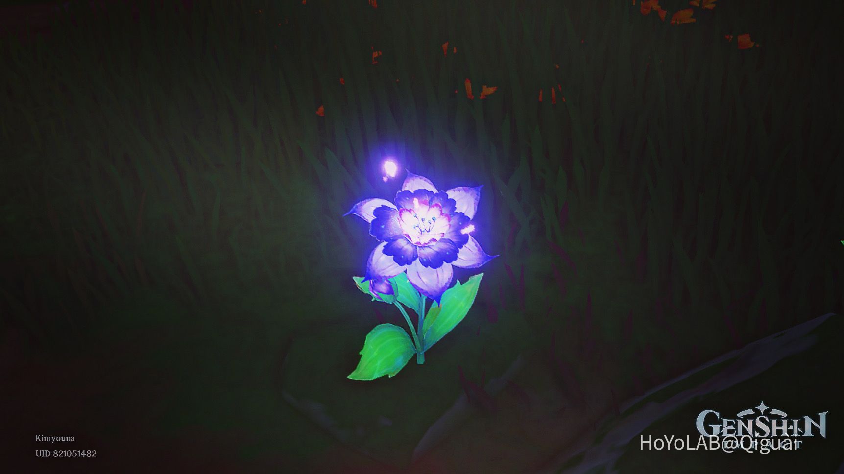 SUMERU ROSE!!! Genshin Impact | HoYoLAB