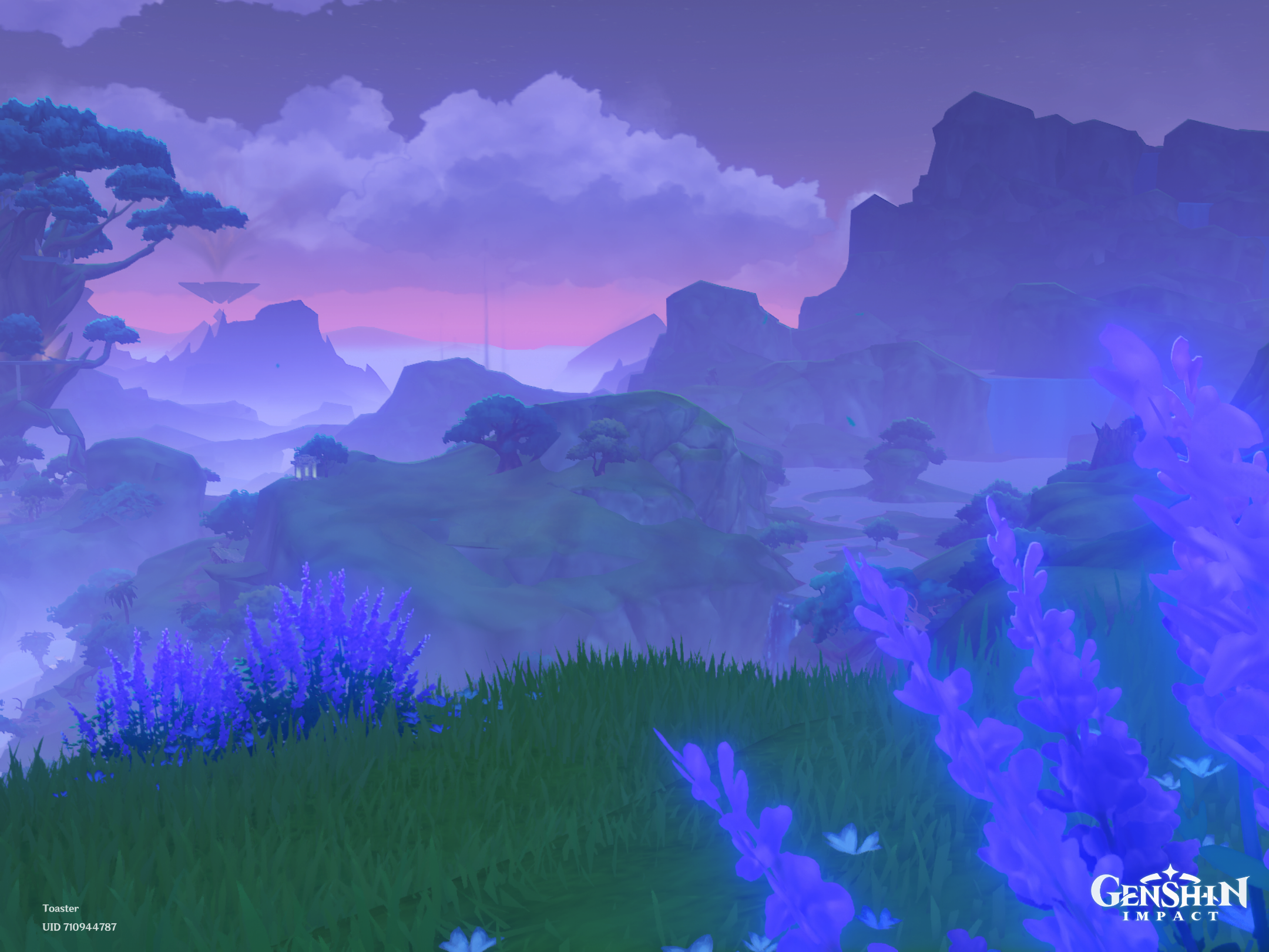 the view is pretty | HoYoLAB