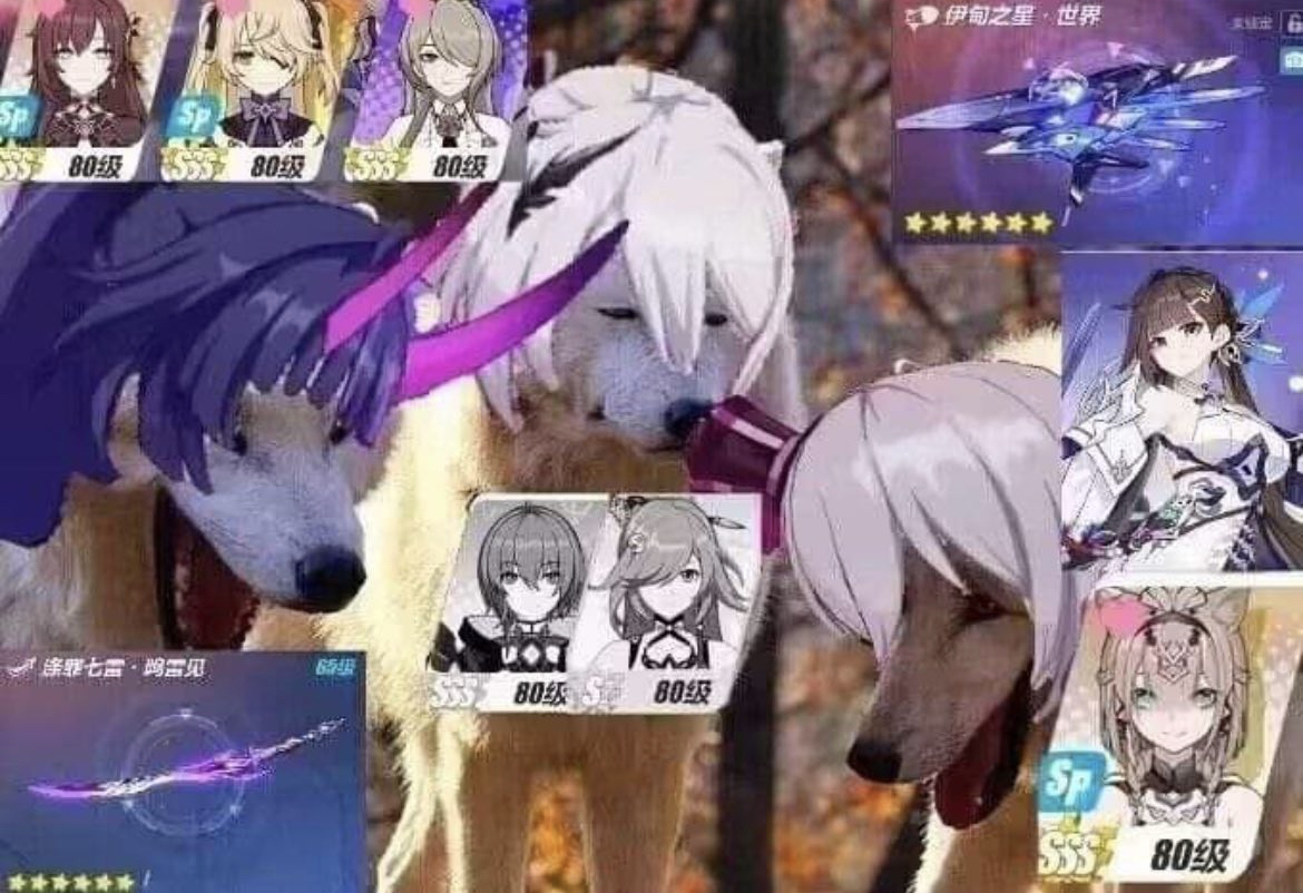 rip fire meta Honkai Impact 3rd | HoYoLAB