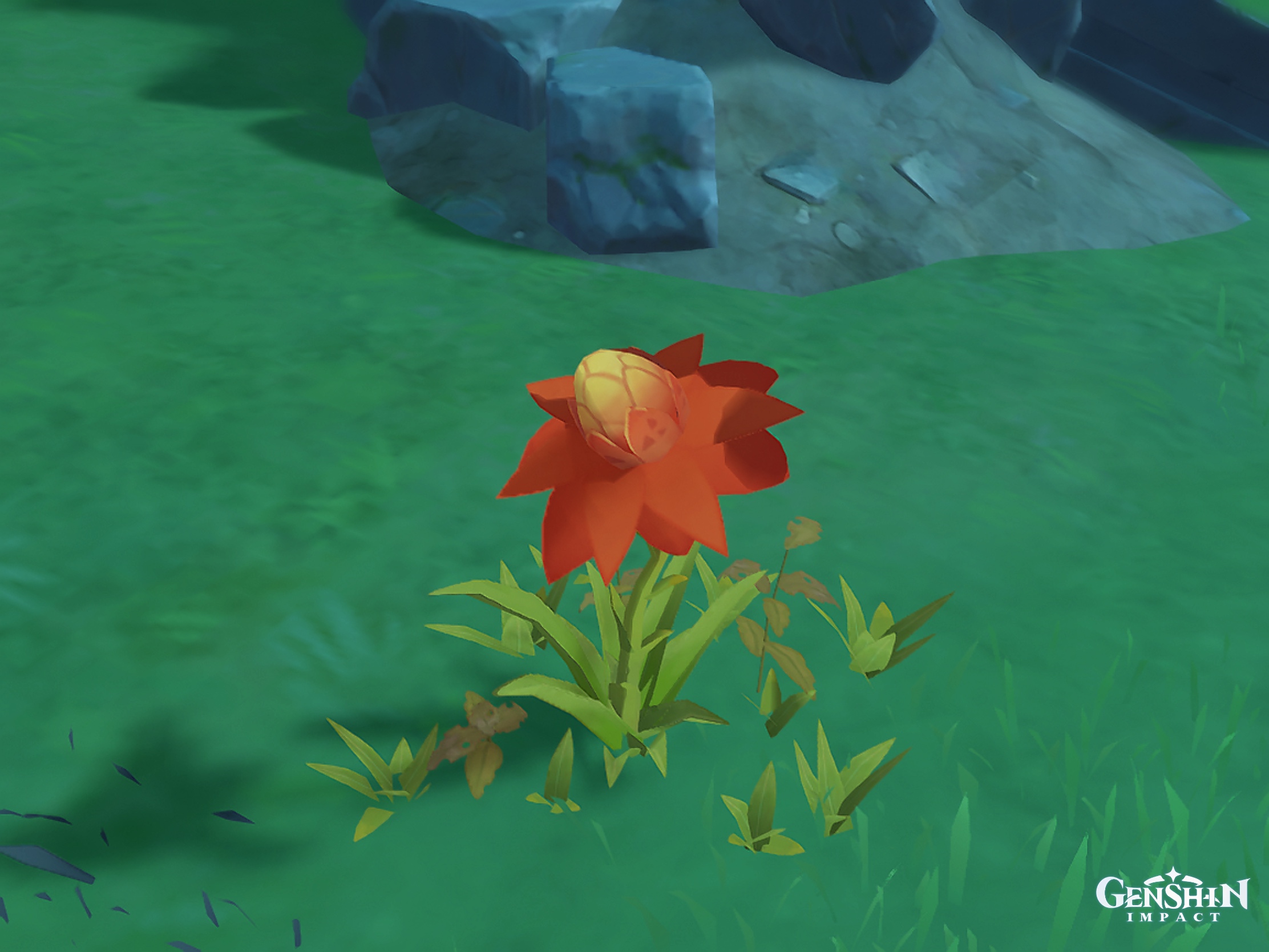 A pyro regisvine Genshin Impact | HoYoLAB