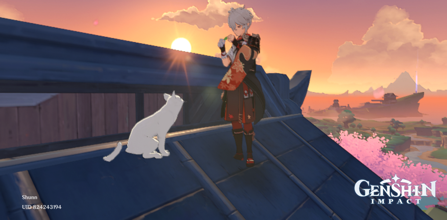 I found a Tomo cat Genshin Impact | HoYoLAB