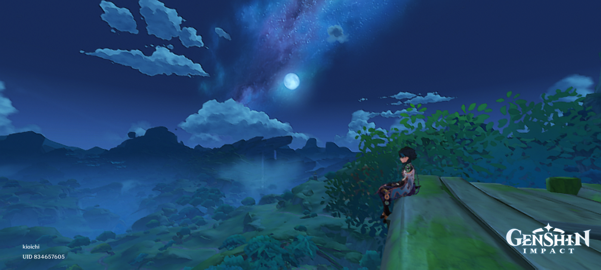 Night view:-) Genshin Impact | HoYoLAB