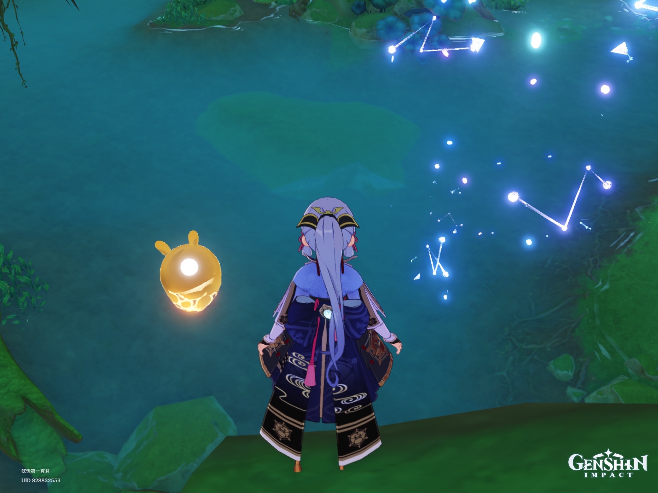 Heart in Sumeru Genshin Impact | HoYoLAB