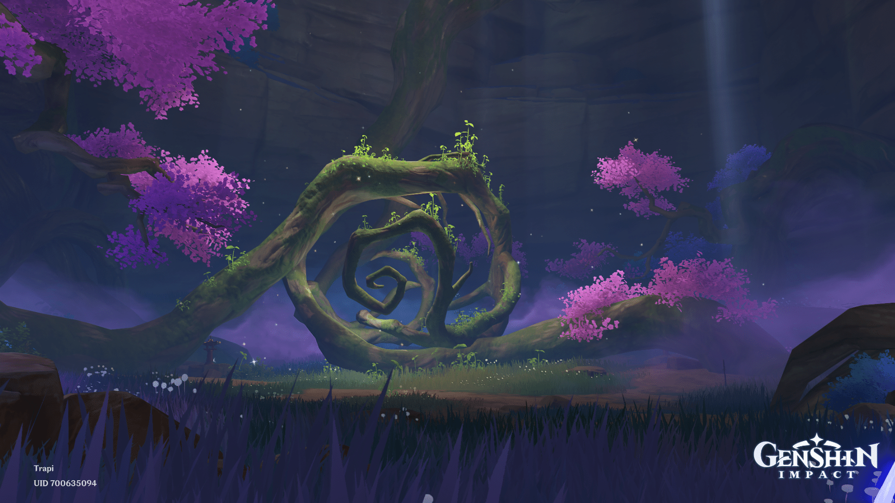 Mi viaje por Teyvat Genshin Impact | HoYoLAB