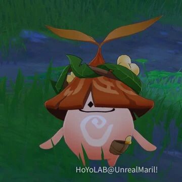 Aranara Genshin Impact | HoYoLAB