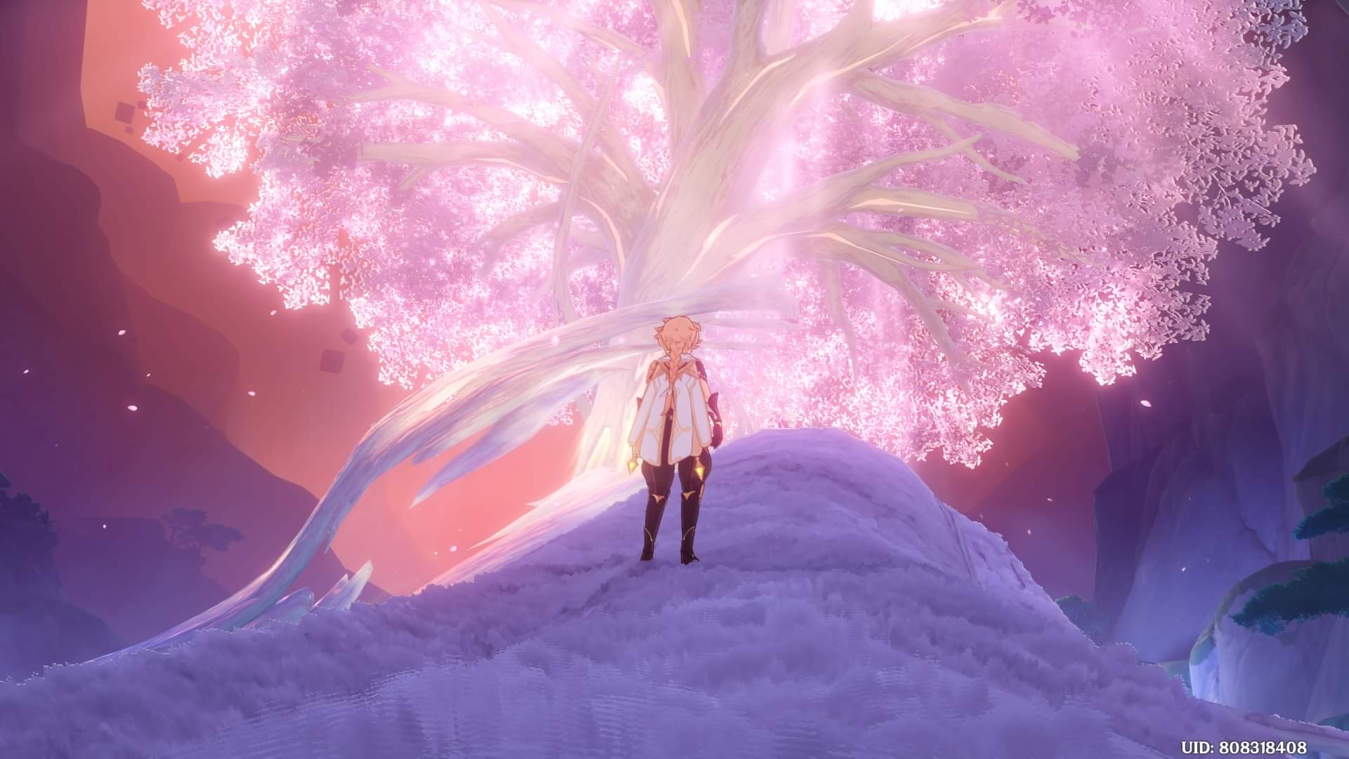 The road on big tree☘️ Genshin Impact | HoYoLAB