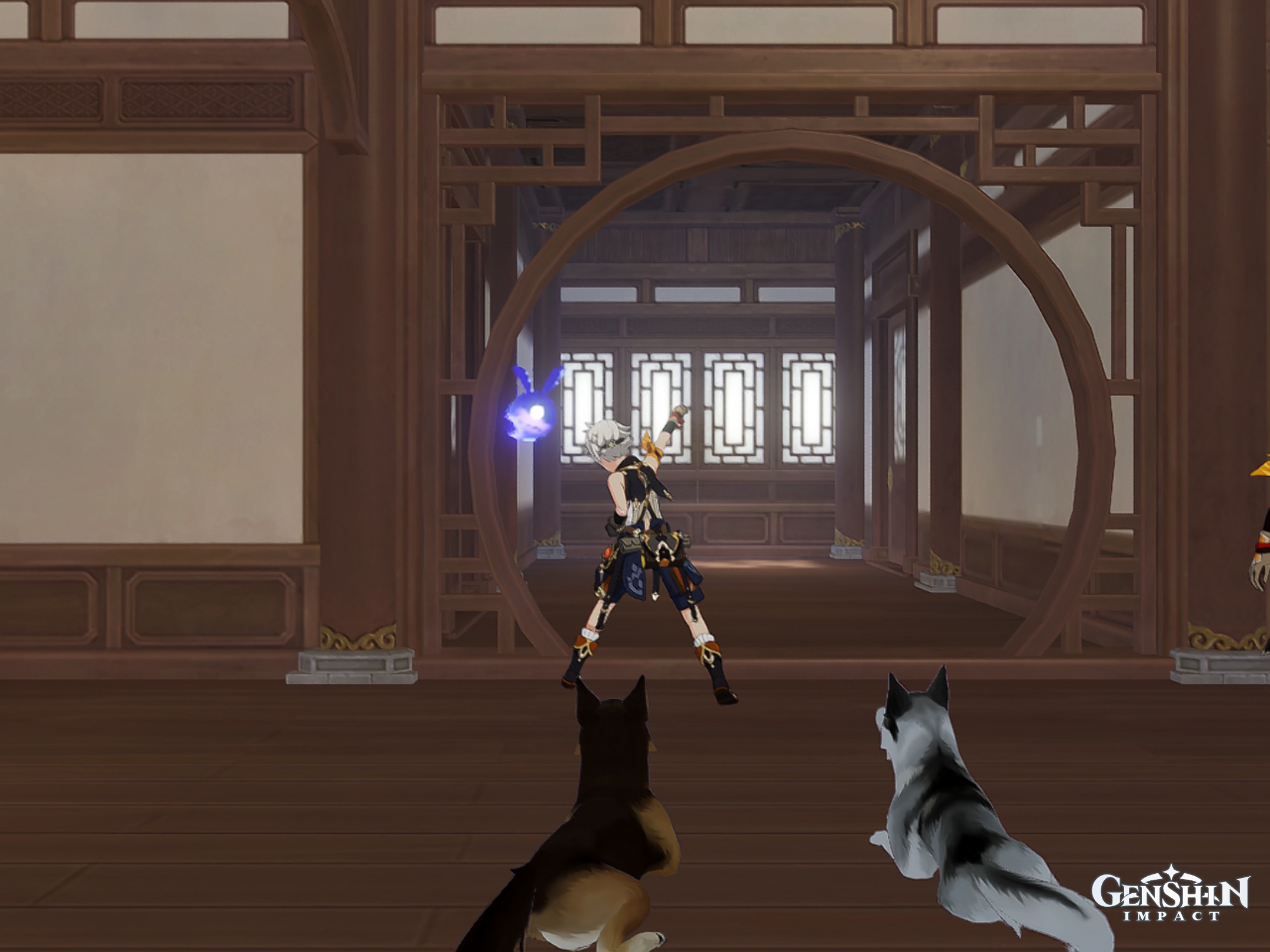 I stepped away for a second, and the dogs decided that watching Bennett ...