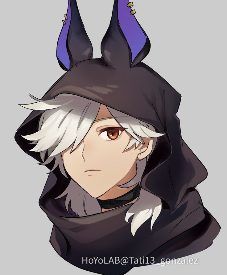 Cyno Genshin Impact | HoYoLAB