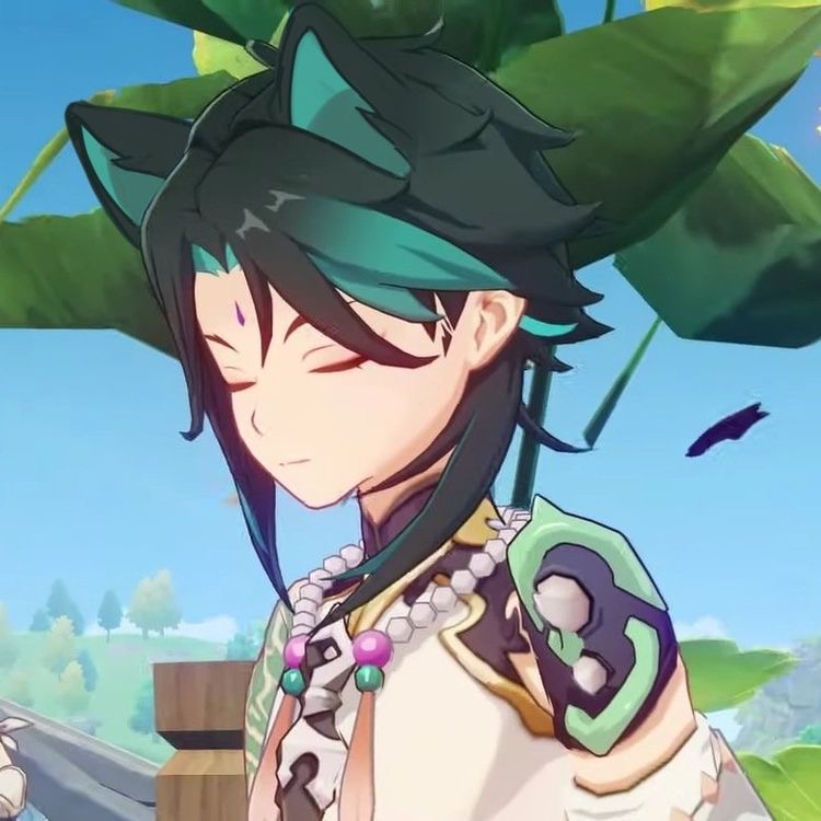 xiao kitty Genshin Impact | HoYoLAB