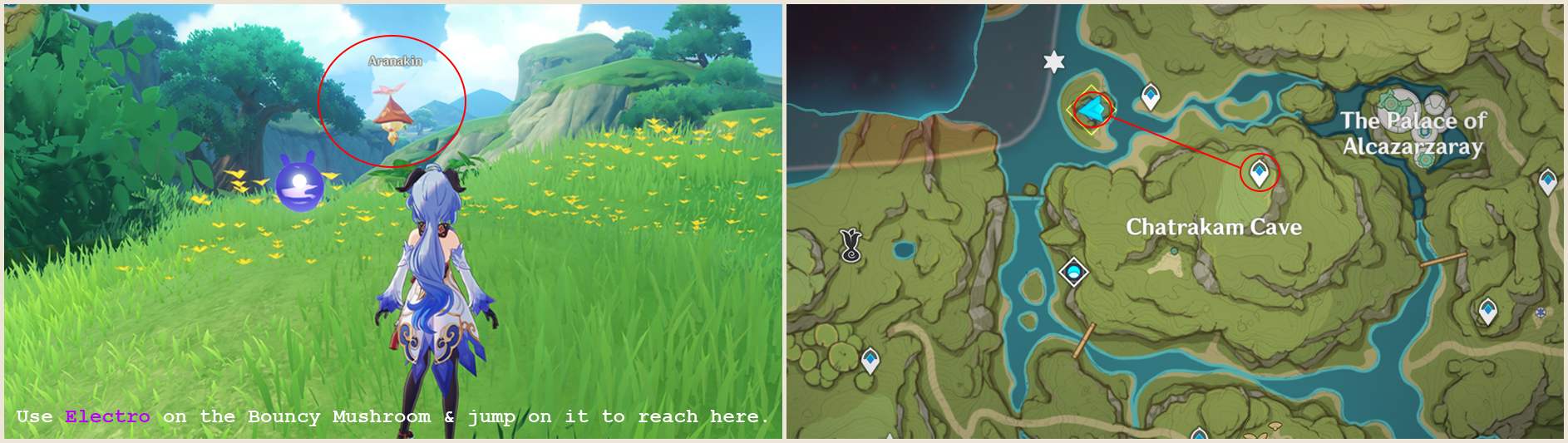 If you're stuck & don't have any step bro to help [Forest Adventure ...