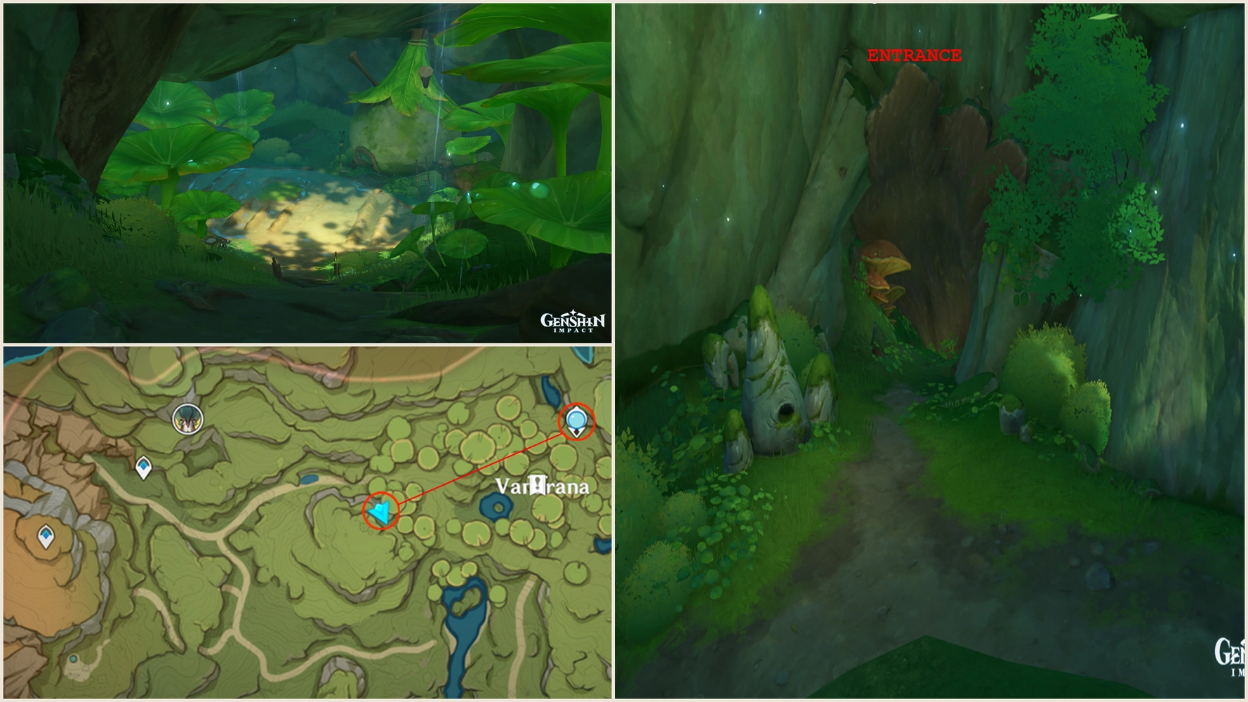 All 12 'Nurseries in the Wilds' Location & where to use 'Vasmrti ...