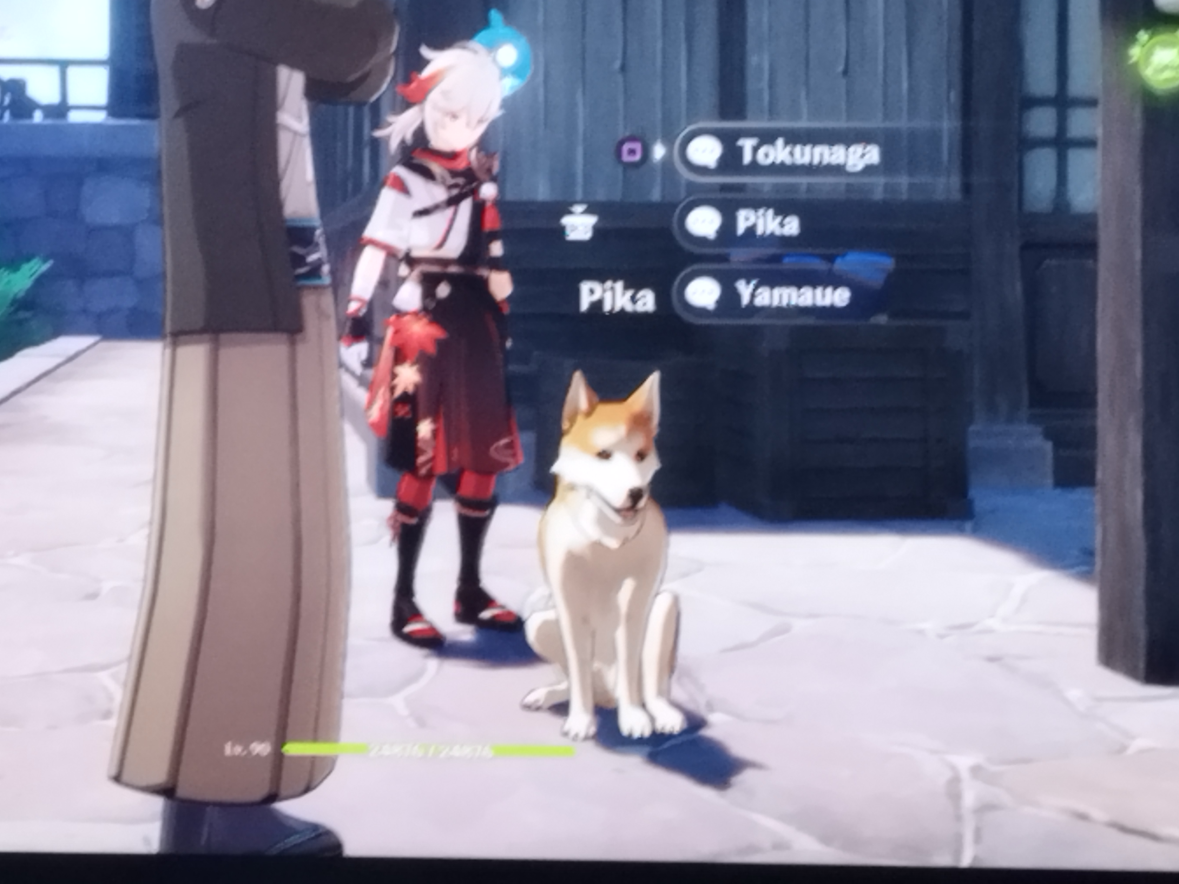 literally mihoyo you had to name the dog pika Genshin Impact | HoYoLAB