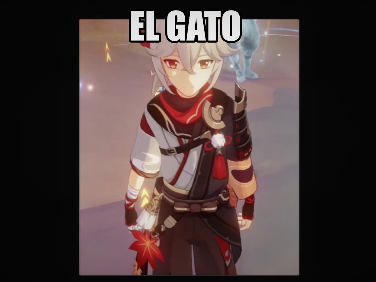 ¡El Gatooo! Genshin Impact | HoYoLAB