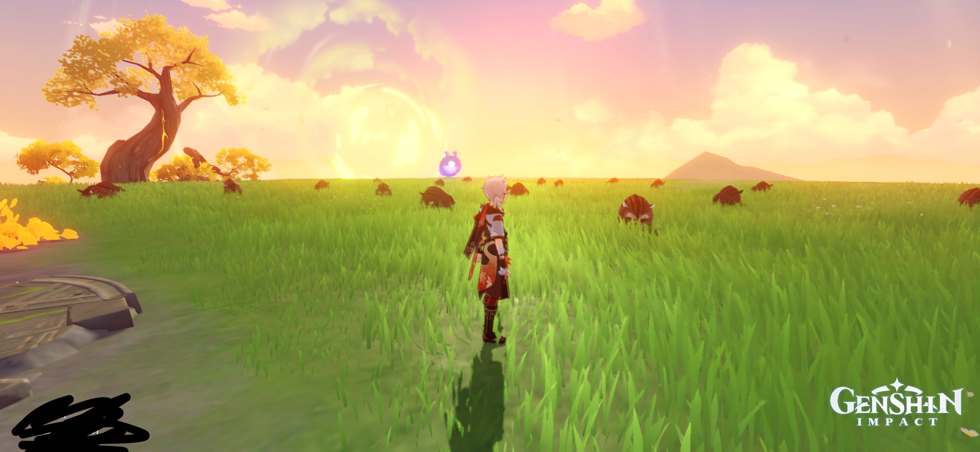 Boars!! Genshin Impact | HoYoLAB