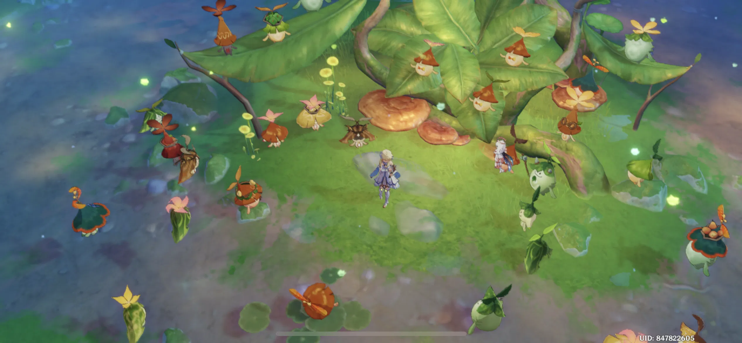 Aranara song snapshots Genshin Impact | HoYoLAB