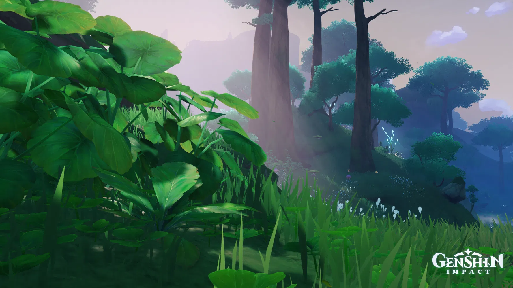 Sumeru forests Genshin Impact | HoYoLAB