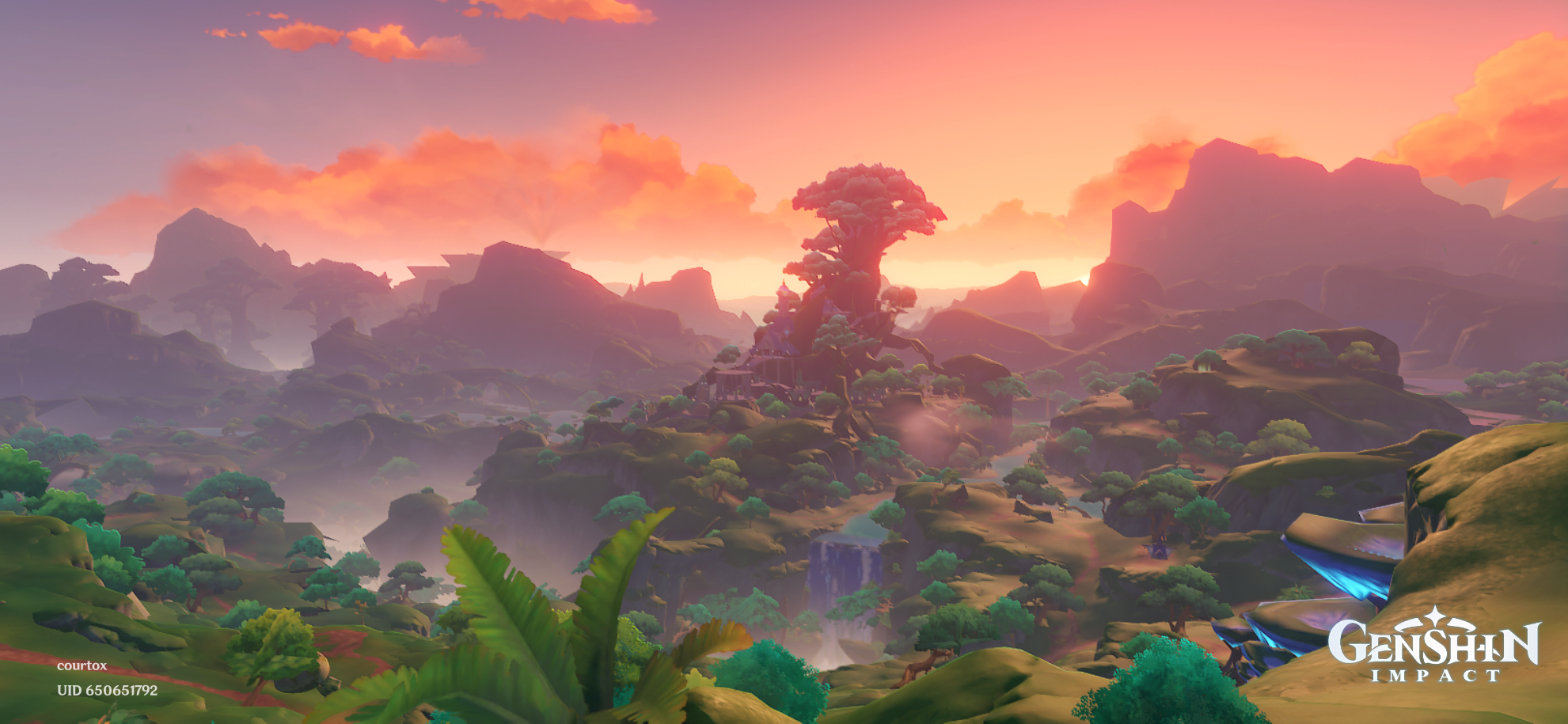 my first look at sumeru Genshin Impact | HoYoLAB