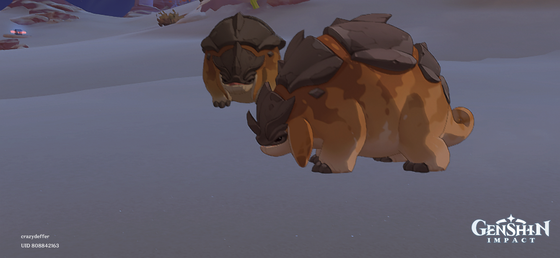 sumeru 3.1 wildlife Genshin Impact | HoYoLAB