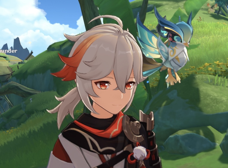 Adorable Pet Bird Genshin Impact | HoYoLAB