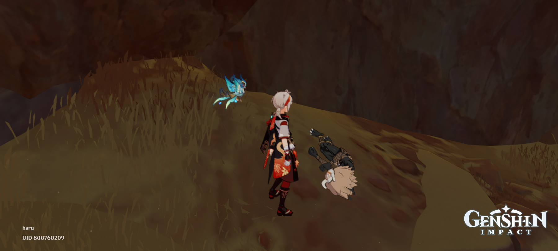 Dead HILhurls Genshin Impact | HoYoLAB