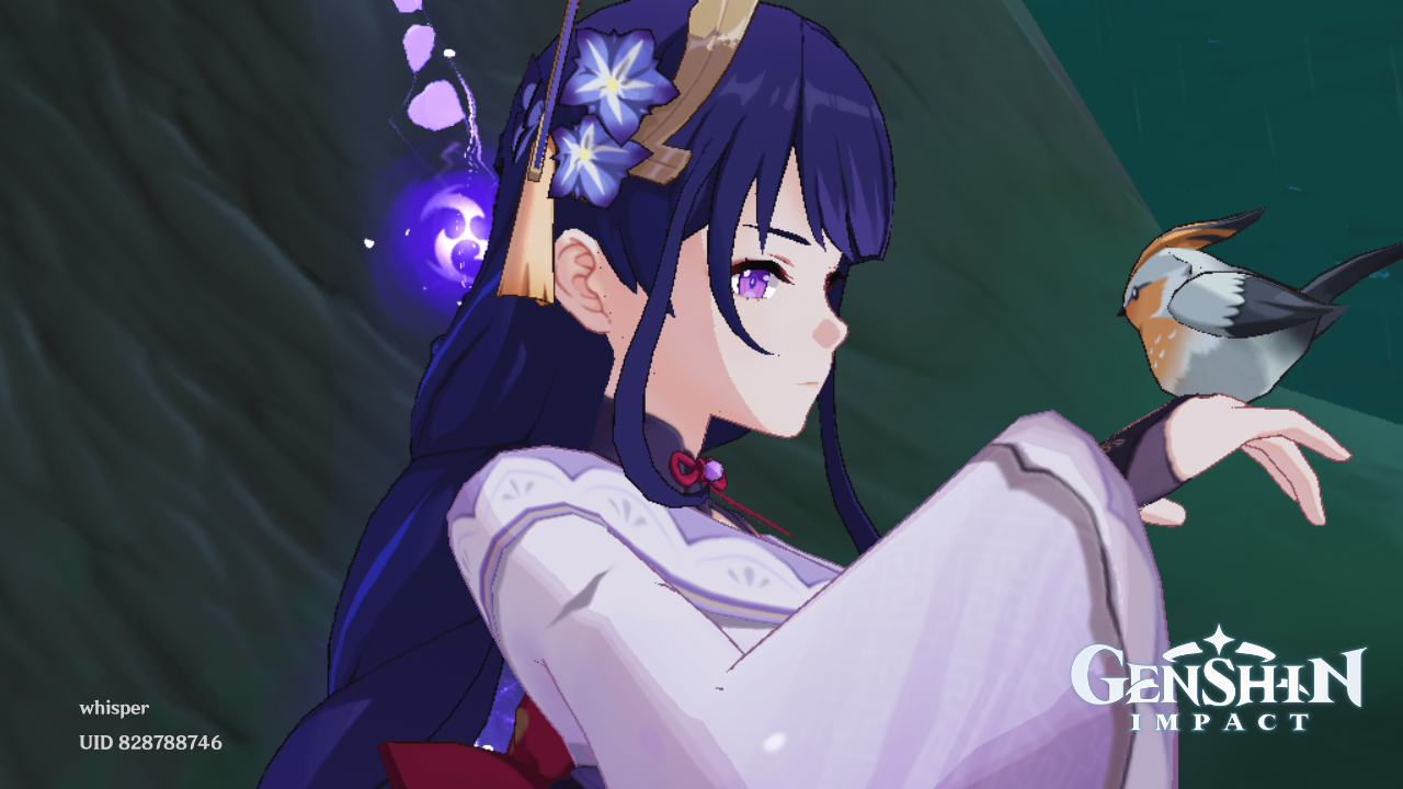 Raiden gonna protect this bird from everyone Genshin Impact | HoYoLAB