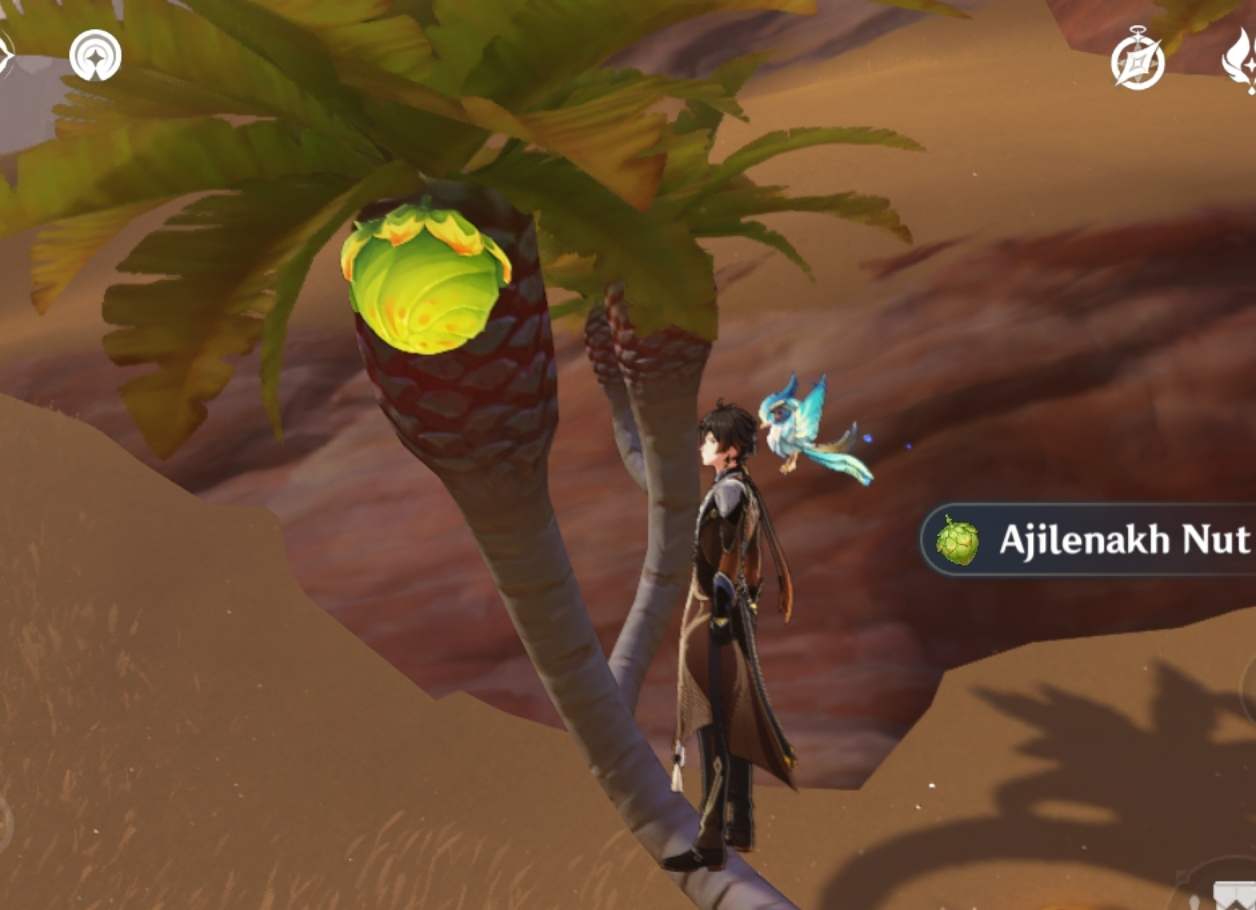 New fruit in Sumeru desert Genshin Impact | HoYoLAB