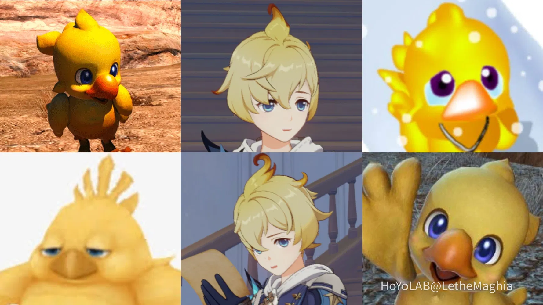 Chocoboy Genshin Impact | HoYoLAB