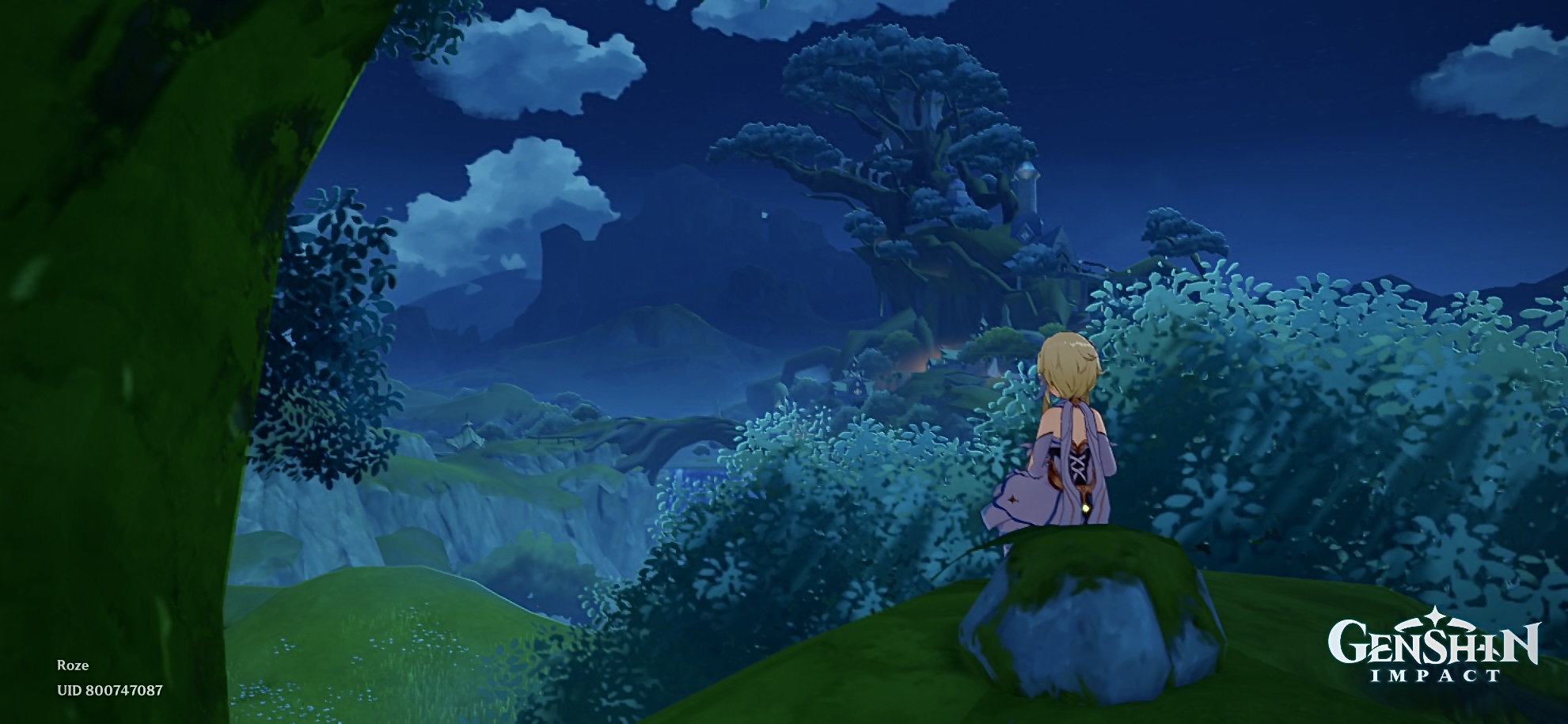 Sumeru Night Genshin Impact | HoYoLAB
