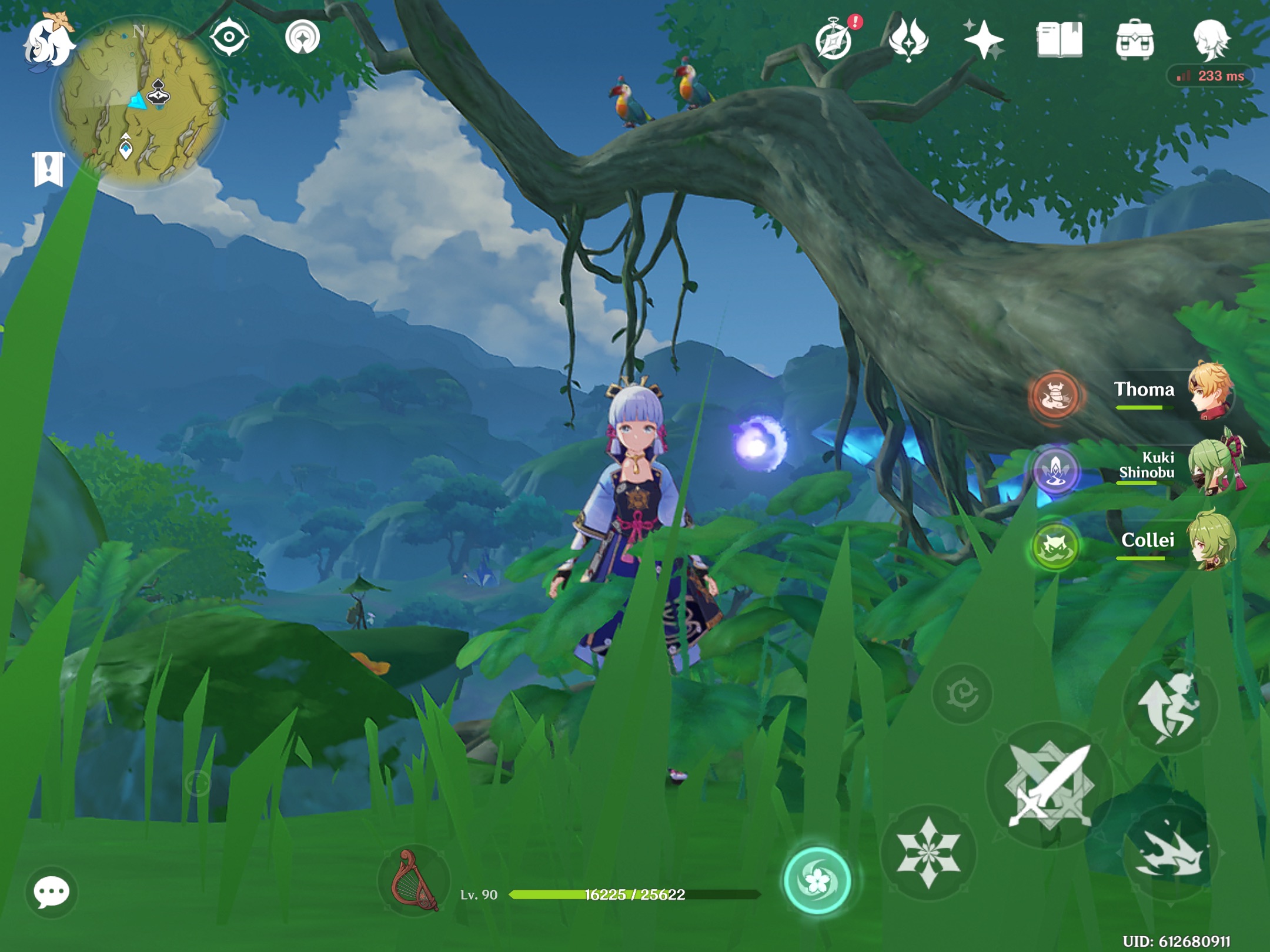 Dusk Birds Genshin Impact | HoYoLAB