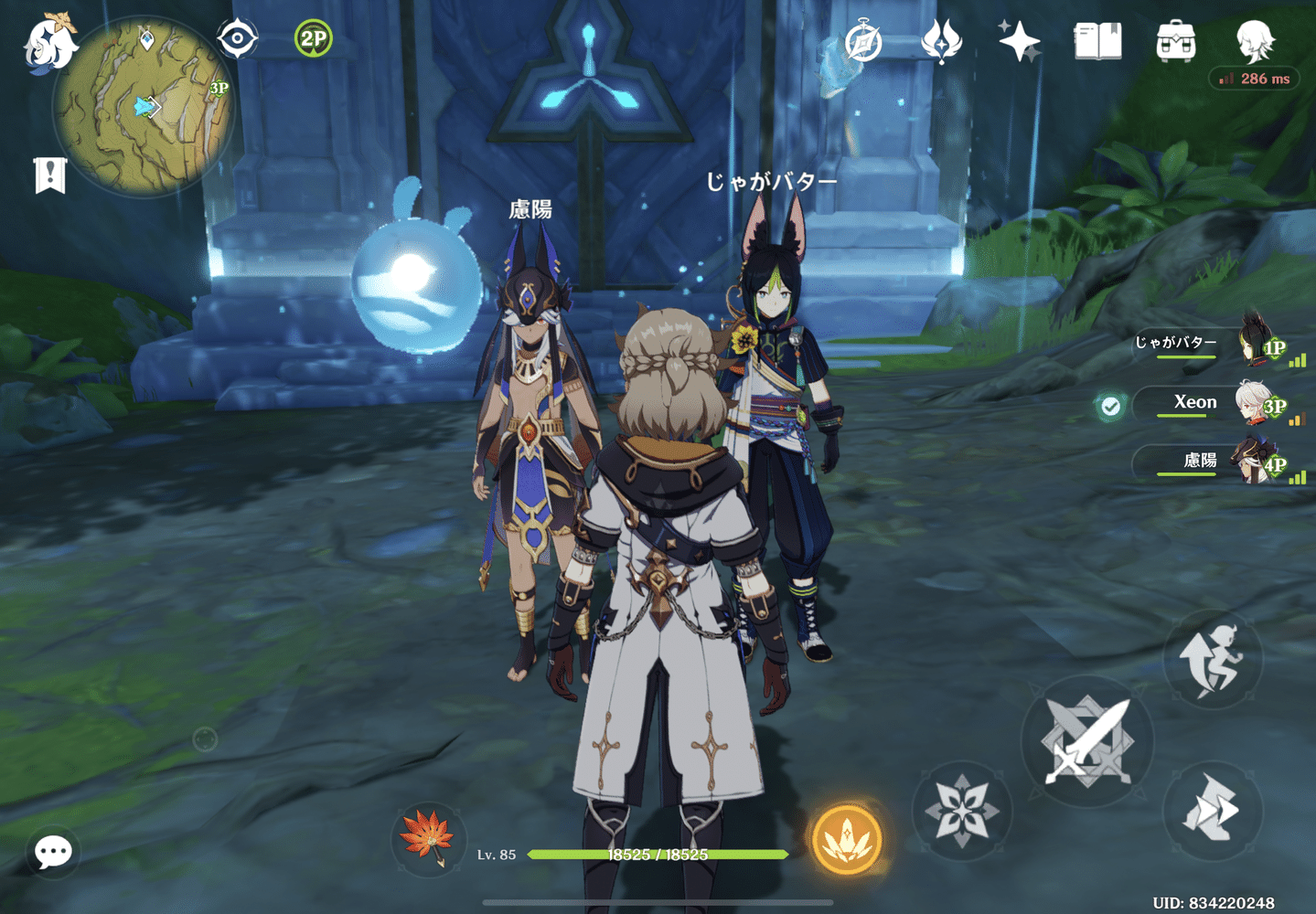 CYNARI Genshin Impact | HoYoLAB