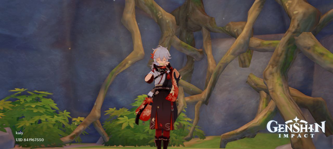 Found a cave while exploring Genshin Impact | HoYoLAB