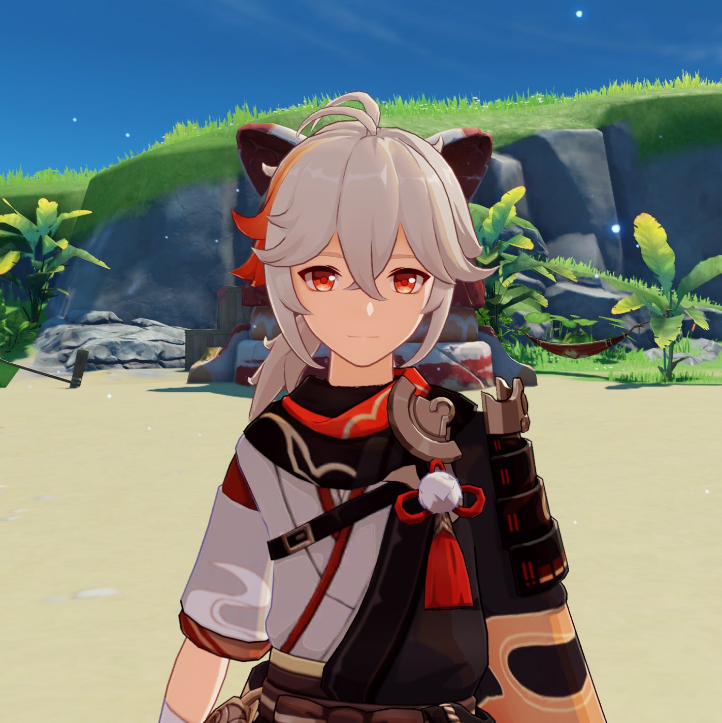 Meow Kazuha Genshin Impact | HoYoLAB